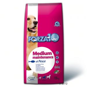 Forza 10 Archivi - Crocchette per Cani Opinioni e Recensioni - Blog