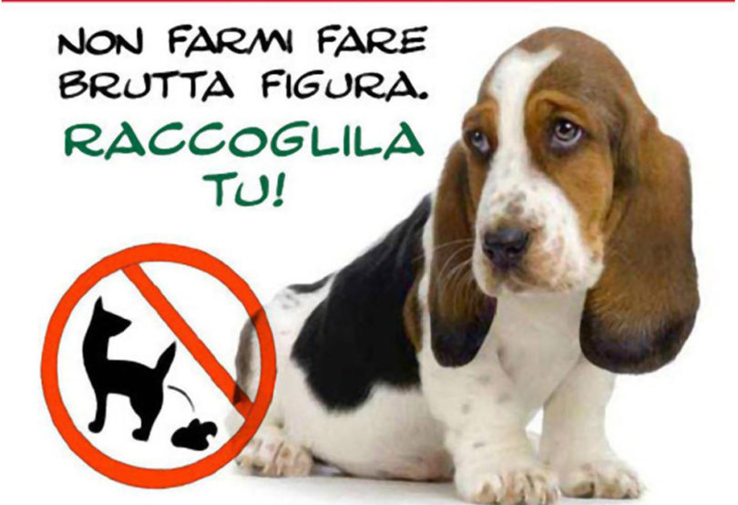Feci molli del cane e possibili cause - Crocchette per Cani Opinioni e ...